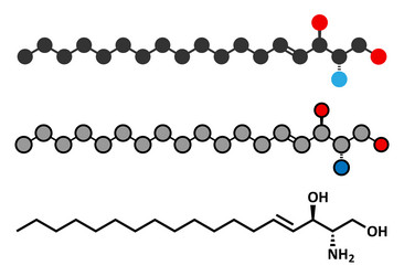 Sphingosine lipid molecule skeletal formula Vector Image