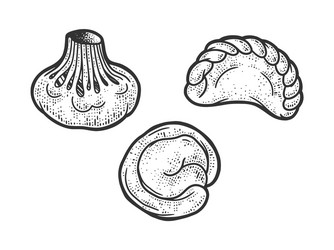 Dumpling sketch healthy cooking and appetizer set Vector Image