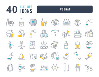 Infographic Fermentation Wine Vector Images (over 150)
