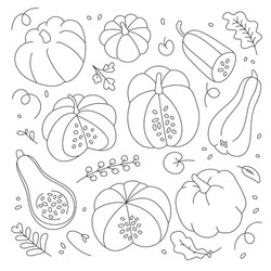 Hand drawn vegetable set in doodle style Vector Image