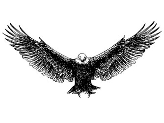 Eagle Vector Images (over 60,000)