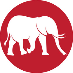 Elephant Head Front Vector Images (over 440)