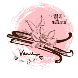 Vanilla pattern design for cards textiles Vector Image