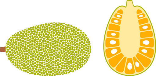 Jackfruit Logo Vector Images (94)
