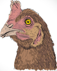 Chicken Head Vector Images (over 8,400)