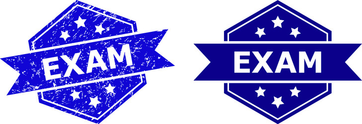 Exam watermark stamp Royalty Free Vector Image