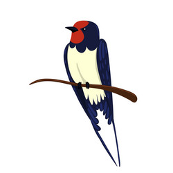 Barn Swallow Vector Images (over 230)