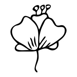 Hand drawn flower clipart Royalty Free Vector Image