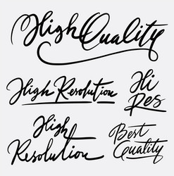 High quality and premium hand written typography Vector Image