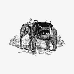 War elephant mahout rider drawing Royalty Free Vector Image