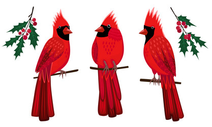 3 Birds Vector Images (over 1,900)