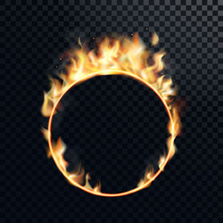Ring fire flame burning different shapes frames Vector Image