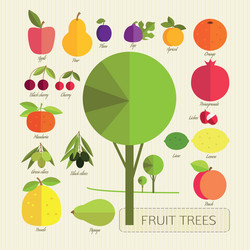 Fruit trees set Royalty Free Vector Image - VectorStock