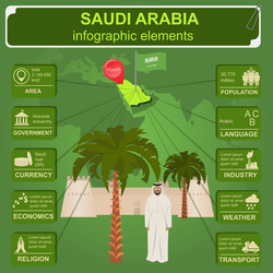 Saudi arabia infographics statistical data sights Vector Image