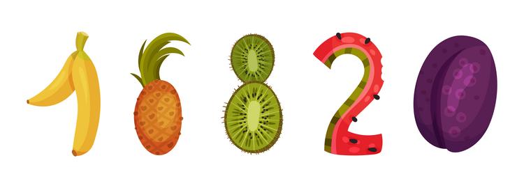 Fruit numbers and numeral for counting set Vector Image