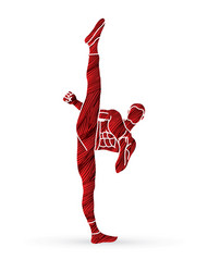 Kung fu karate kick Royalty Free Vector Image - VectorStock