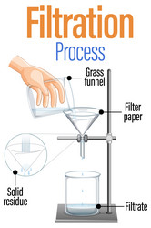 Filtration process science experiment Royalty Free Vector