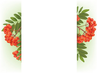 Rowan Vector Images (over 13,000)