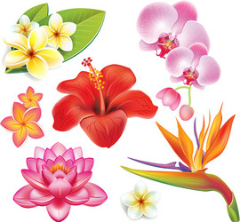 Free Flowers Vector Images (over 61,000)