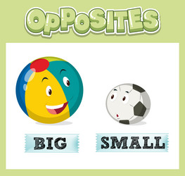 Opposite words for big and small Royalty Free Vector Image