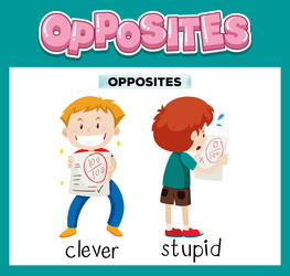 Opposite english words with clever and stupid Vector Image