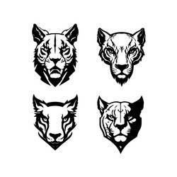 Puma line drawing Royalty Free Vector Image - VectorStock