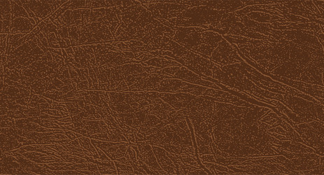 Texture Faux Leather Vector Images (61)
