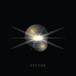 Shine template design Royalty Free Vector Image