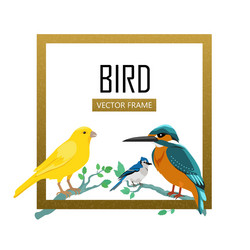 Birds diversity frame composition Royalty Free Vector Image