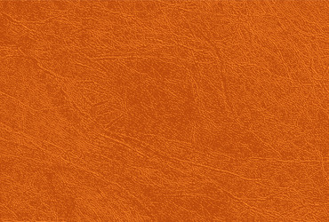 Faux Fur Fabric Pattern Vector Images (52)