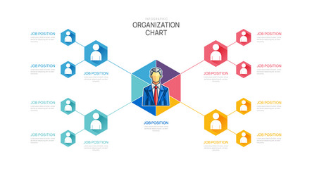 Organization chart hierarchy infographic template Vector Image