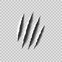 Scratch claw tiger slash mark from Royalty Free Vector Image