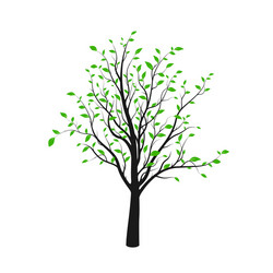Tree silhouette with green leaves and root Vector Image