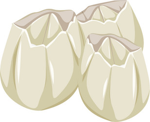 Barnacle Cartoon Vector Images (69)