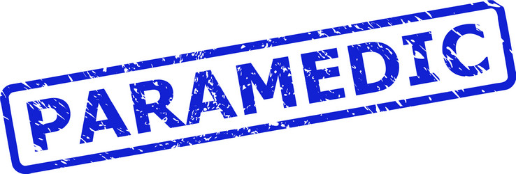 Paramedic Badge Vector Images (over 420)