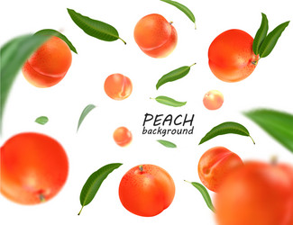 Peach Vector Images (over 28,000)
