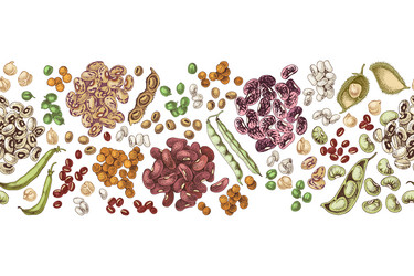 Hand drawn legumes seamless border Royalty Free Vector Image