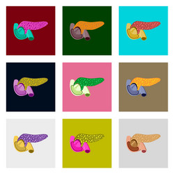 Human organ icon in flat style duodenum Royalty Free Vector