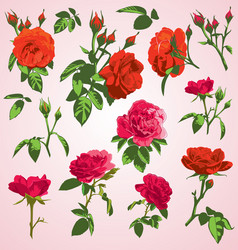 Scroll Roses Vector Images (over 2,100)
