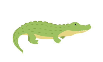 Crocodile Side View Vector Images (61)