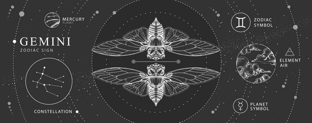 Magic card with astrology gemini zodiac sign Vector Image