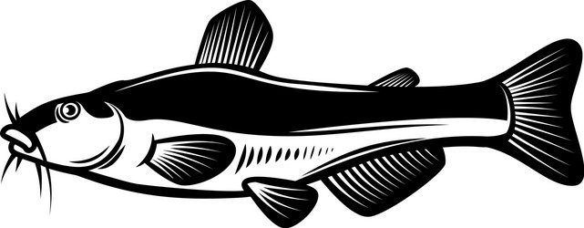 Cartoon smiling catfish Royalty Free Vector Image