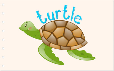 Sea turtle cartoon animal Royalty Free Vector Image