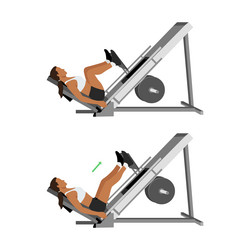 Woman doing leg press exercise on machine Vector Image