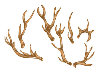 Antlers Vector Images (over 35,000)