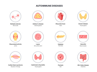 Autoimmune disorders diseases Royalty Free Vector Image