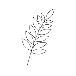 Hand drawn twig in line art doodle style Vector Image
