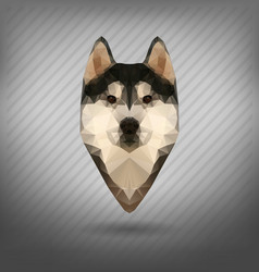 Geometric Husky Vector Images (over 220)