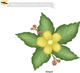Brunei Flower Vector Images (49)