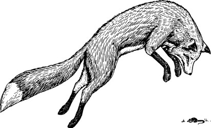 Soaring red fox wild forest animal jumping up Vector Image